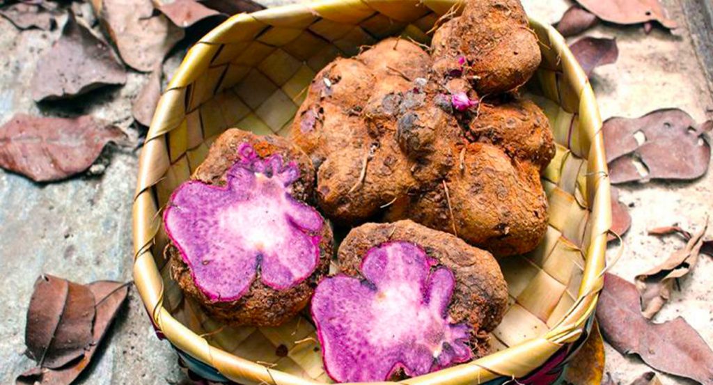 Raja Ala: The King of Yams – Taprobane
